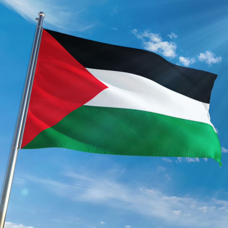 Palestine mVAS Advertising Trends Report - MCP Insight